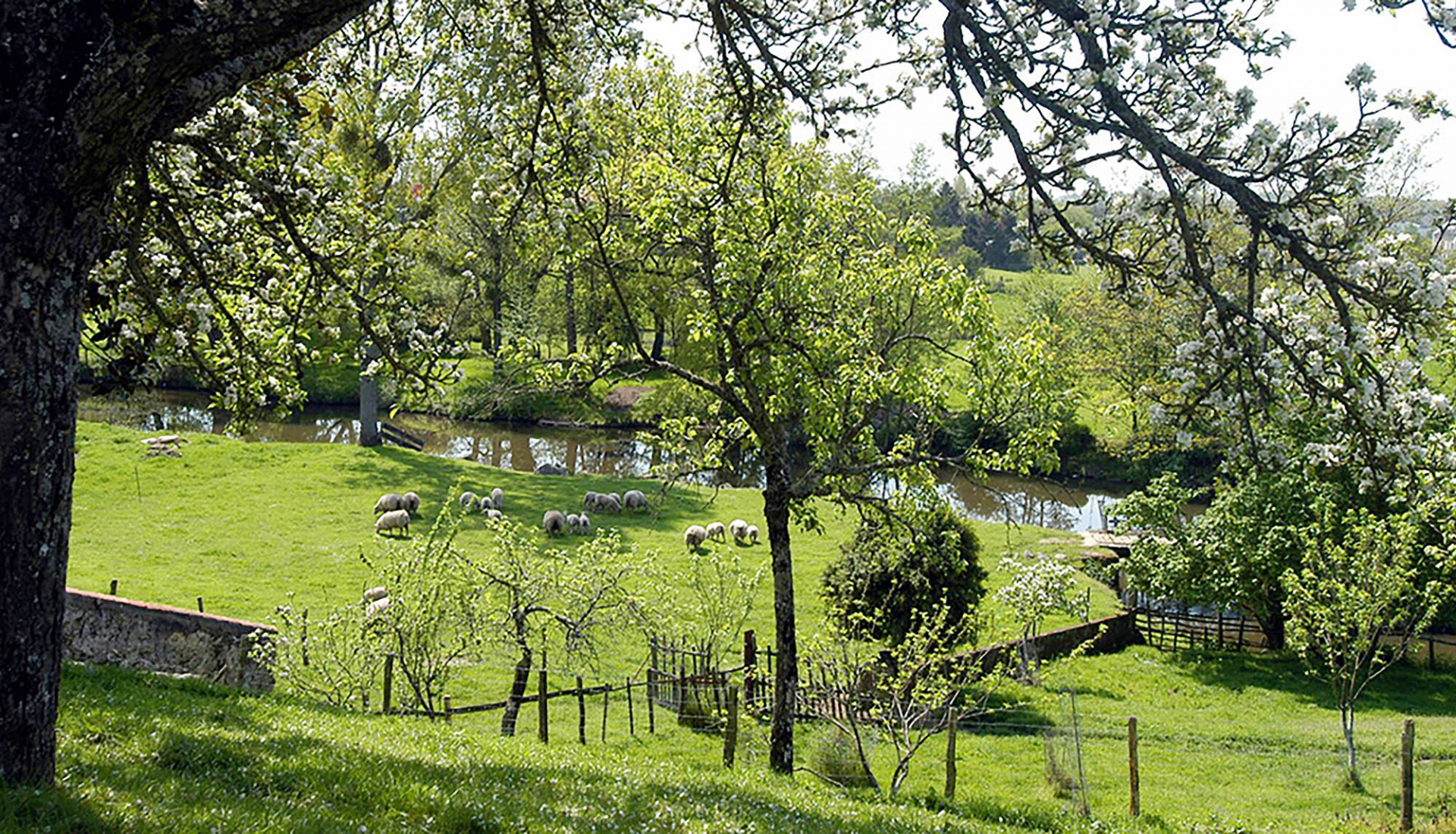 Un parc naturel régional en Gâtine poitevine